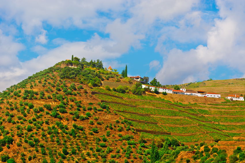 The Benefits Of Investing In A Farm In Portugal | Offshore Living Letter